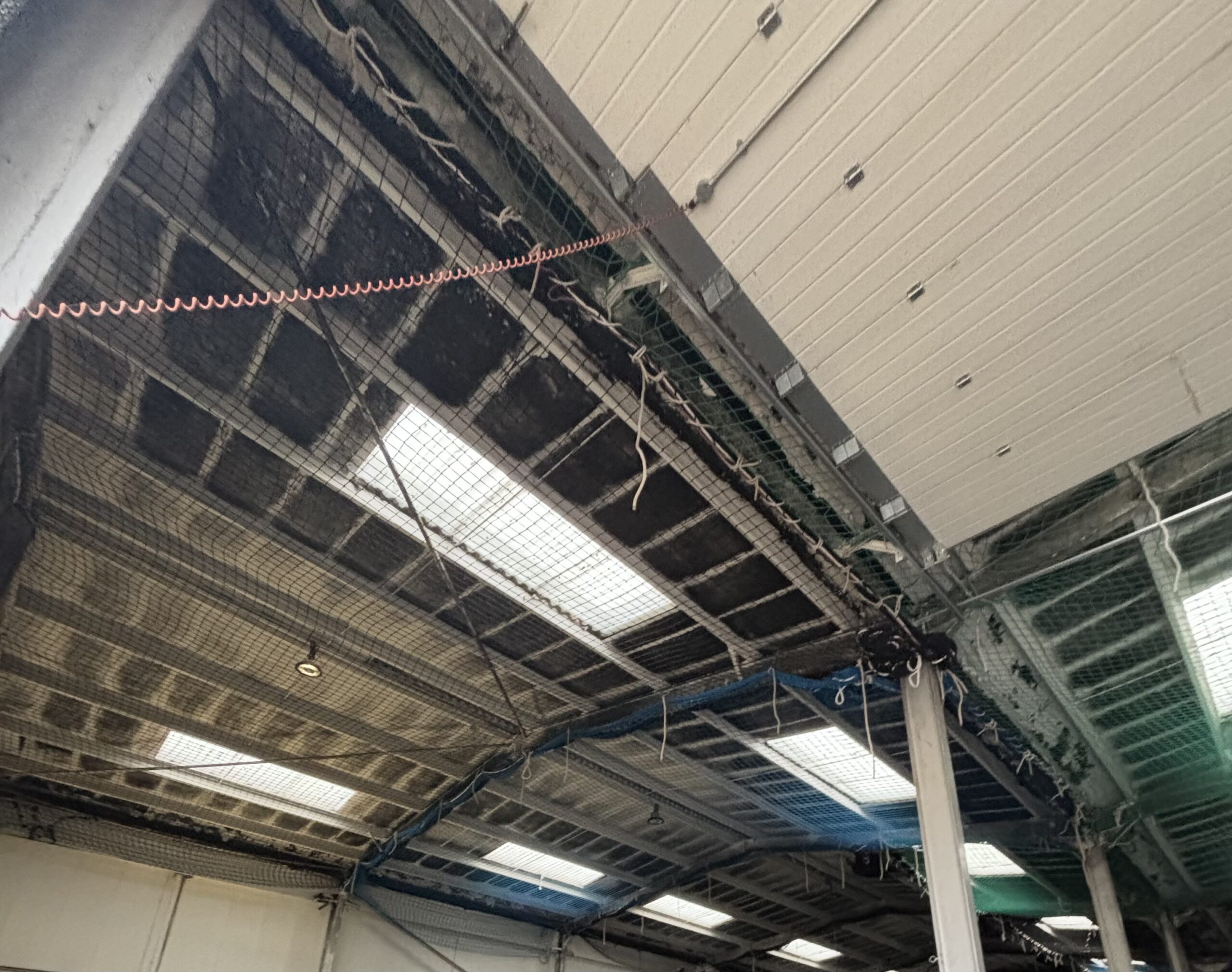 Safety Netting London